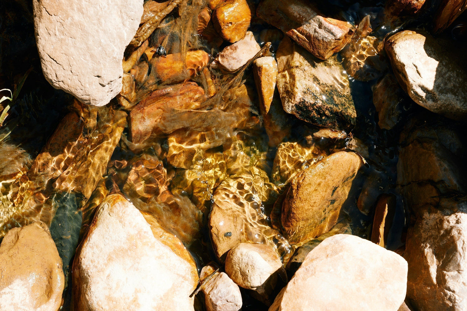 The history of humans and salt why it is so important – Sodii Hydration